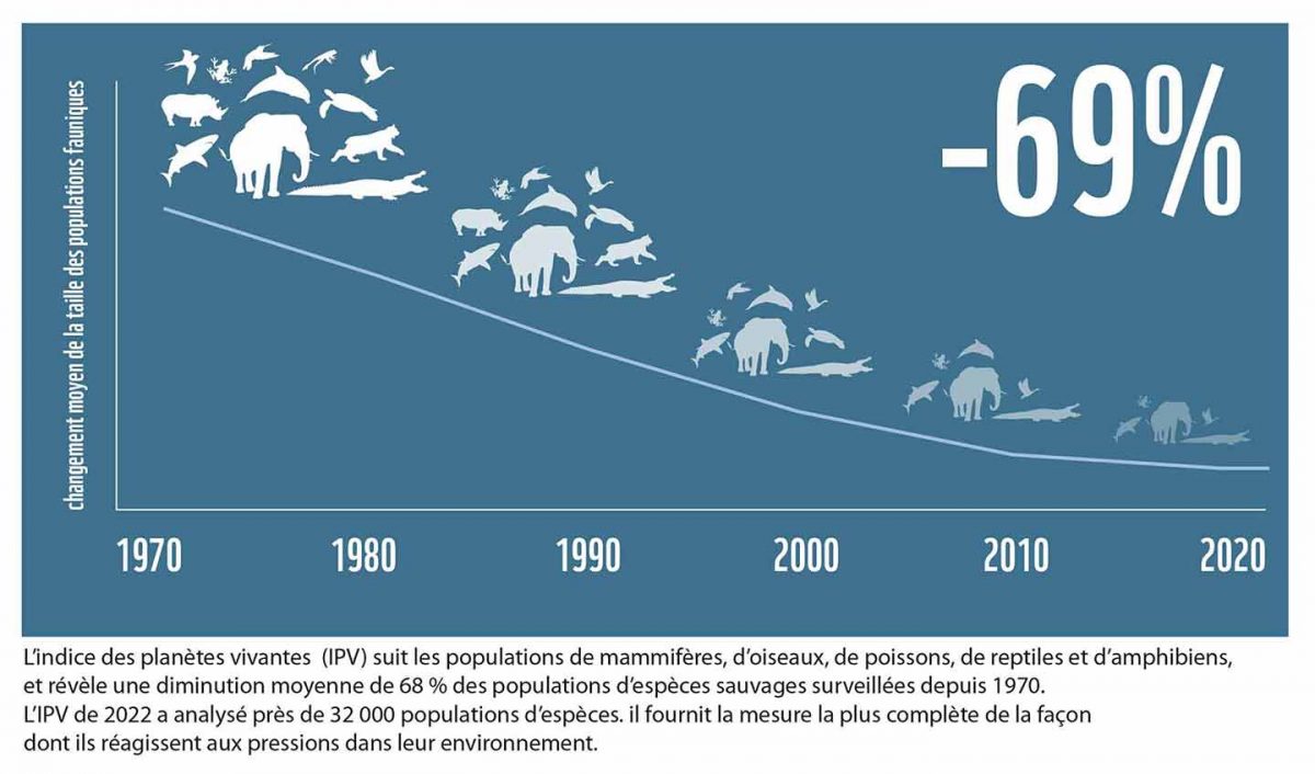 RSE et protection de la biodiversité